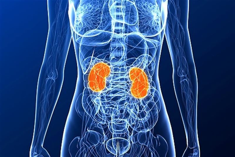 La prevención es clave para evitar daños renales - El Digital de Asturias