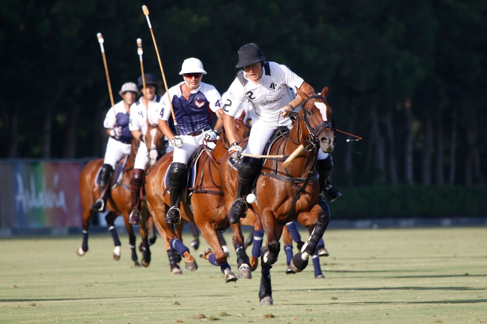 La élite del polo se cita en Sotogrande - El Digital de Asturias