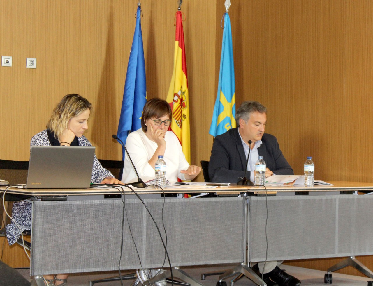 Presentada la memoria de Vipasa correspondiente al año 2017 - El ...