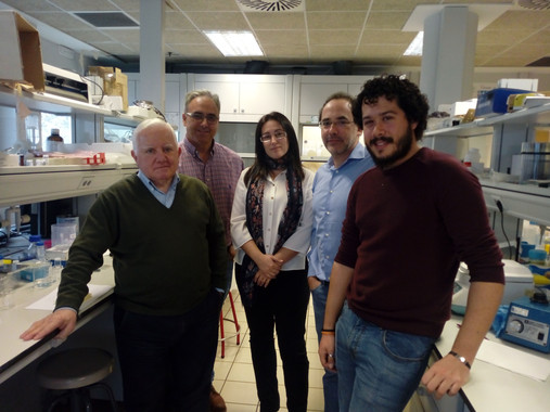 Nuevo sistema para la detección precoz del lupus - El Digital de Asturias Nuevo sistema para la detección precoz del lupus - El Digital de Asturias